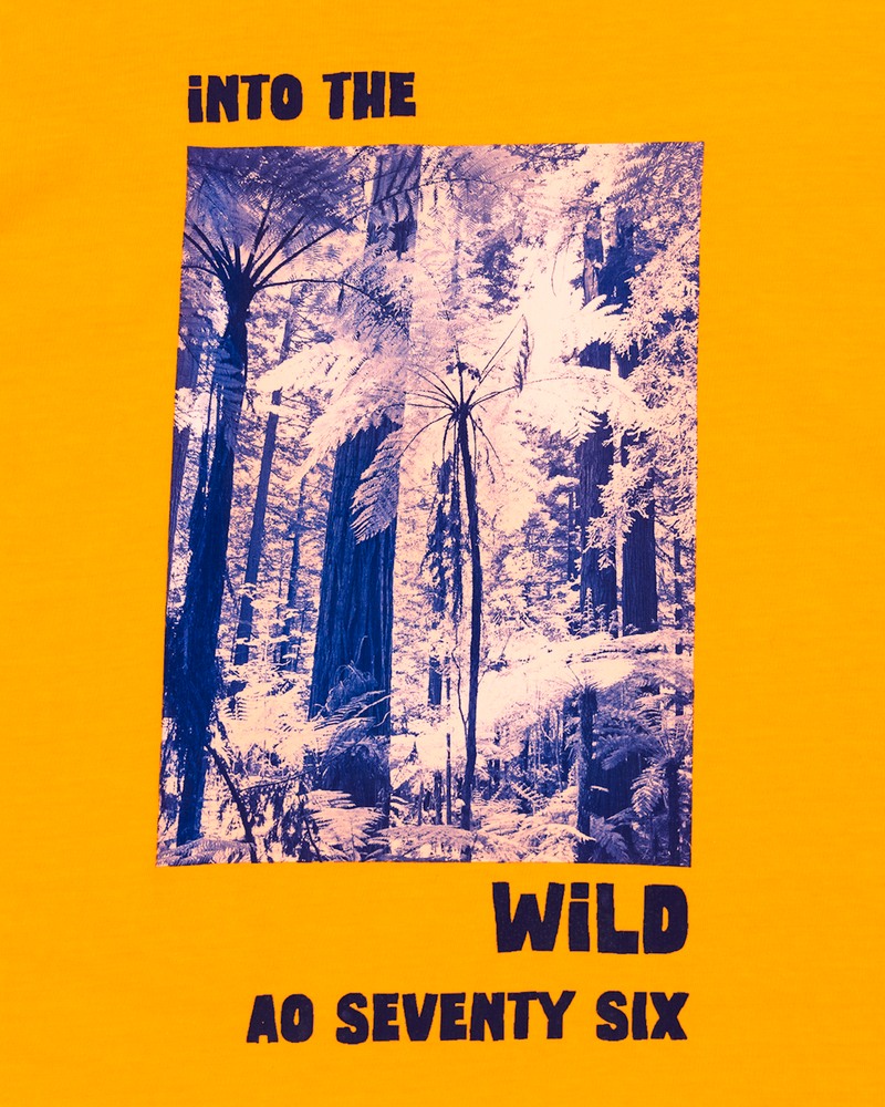 T-shirts boys – AO76